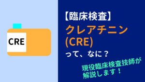 【臨床検査】クレアチニン(CRE)について現役臨床検査技師が徹底解説します | ウエノロジーブログ